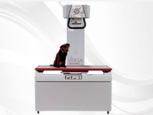 X-Ray Equipment - See Veterinary Options | Bravo Imaging Miami